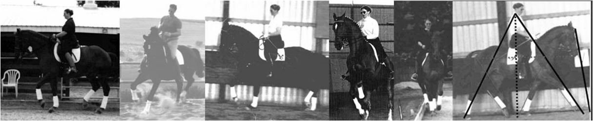 About – A to Z Dressage