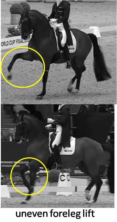 Eye Schooling – A to Z Dressage